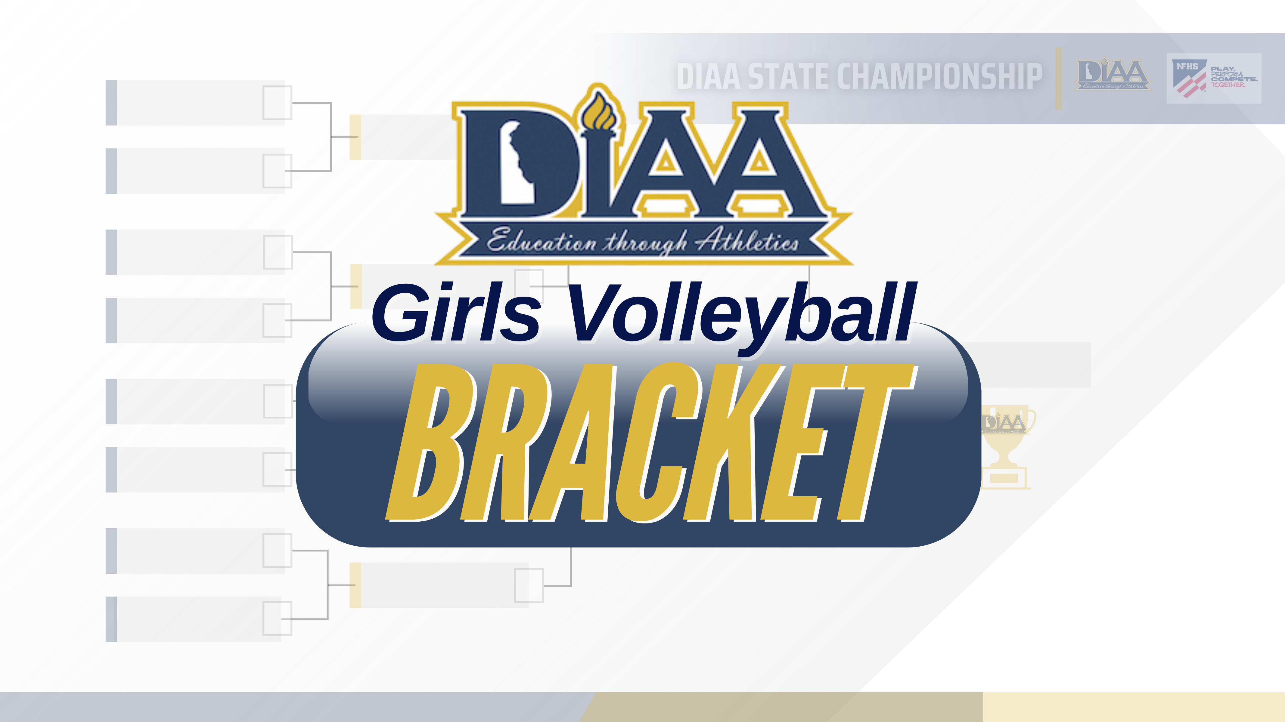 DIAA Releases 2024 Girls Volleyball State Tournament Brackets ...
